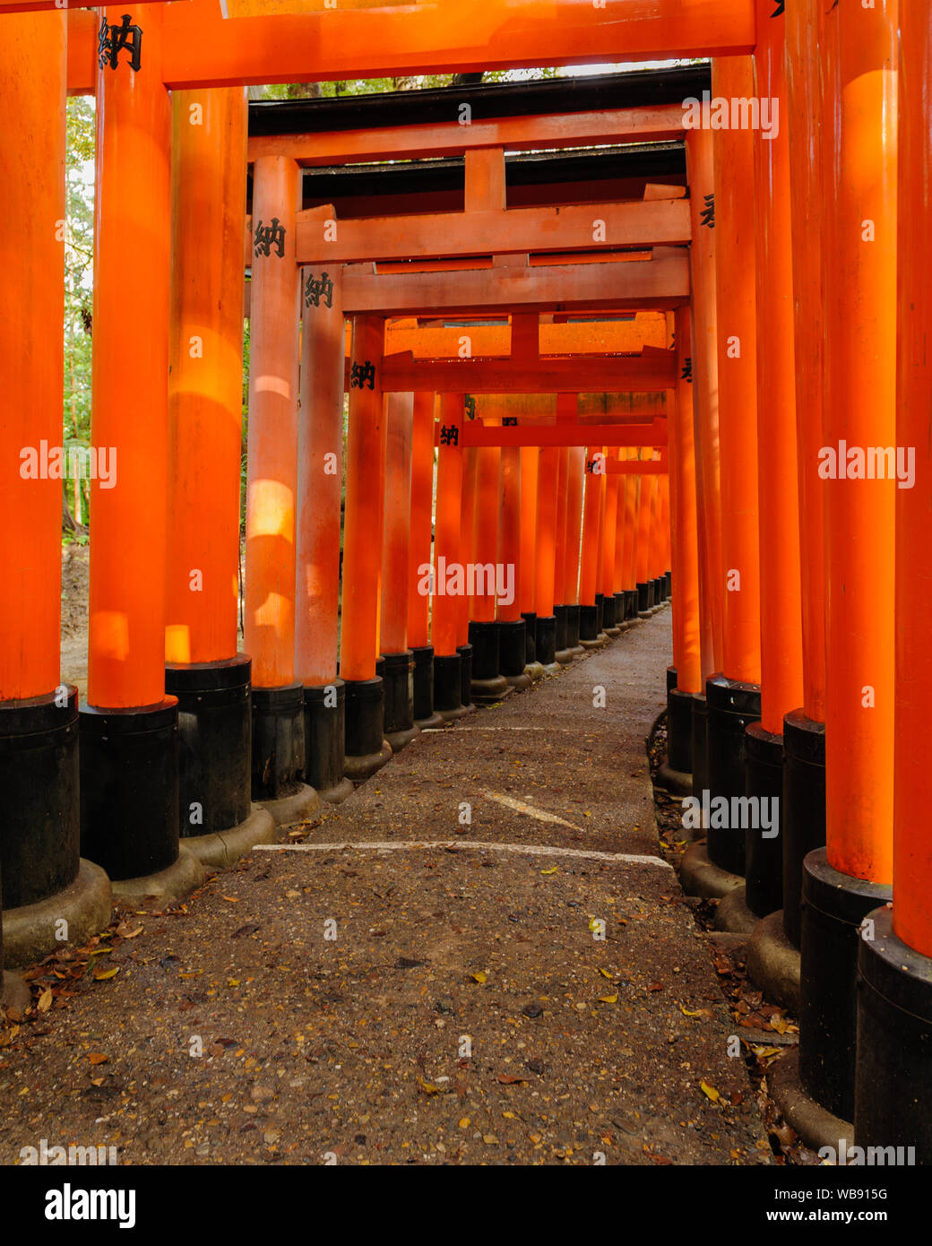 Abstract pattern of uncountable Torii gates formating a vermilion ...