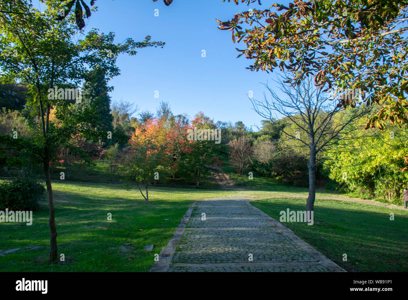 Ataturk forest hi-res stock photography and images - Alamy