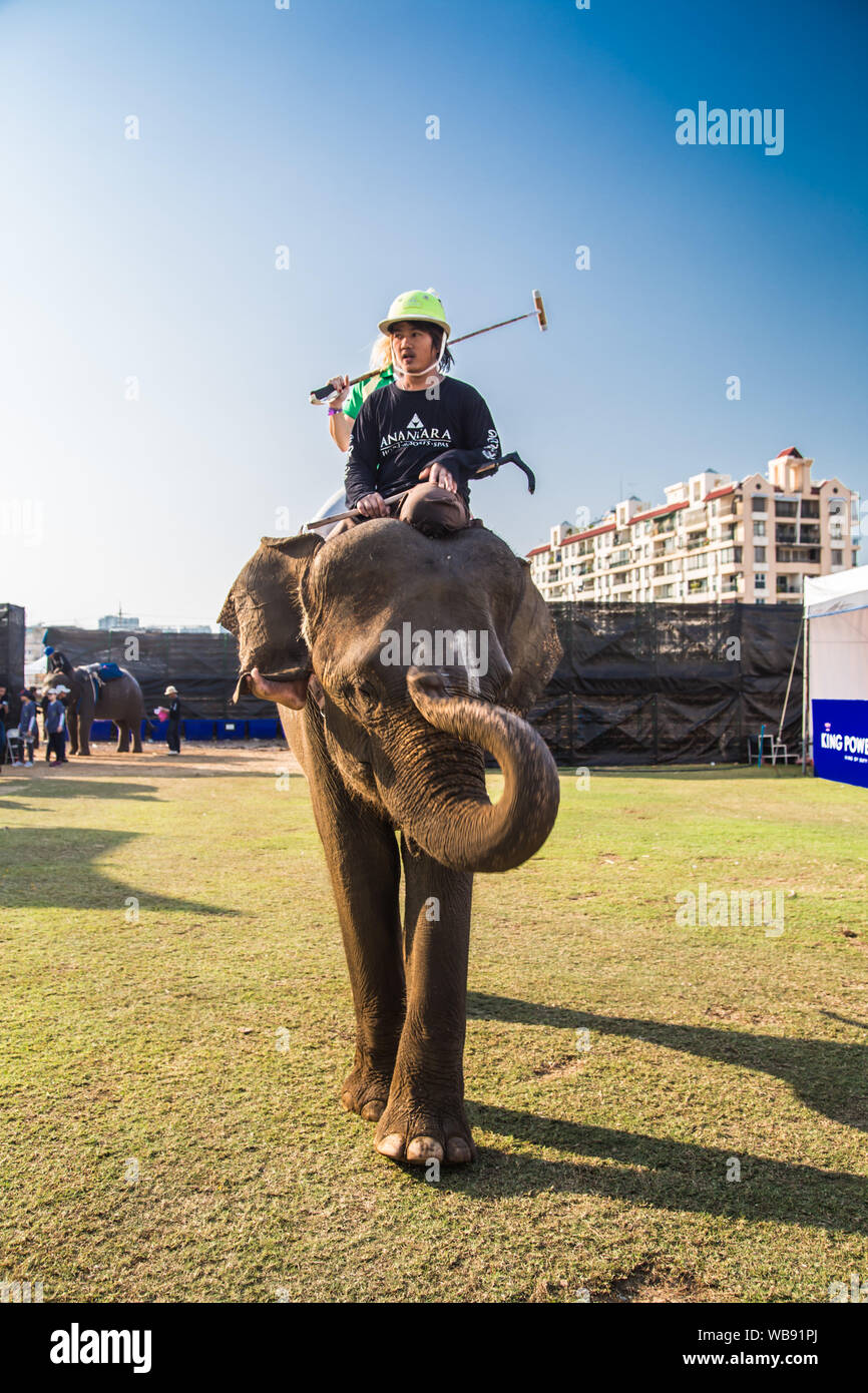 Elephant polo in jaipur hi-res stock photography and images - Alamy
