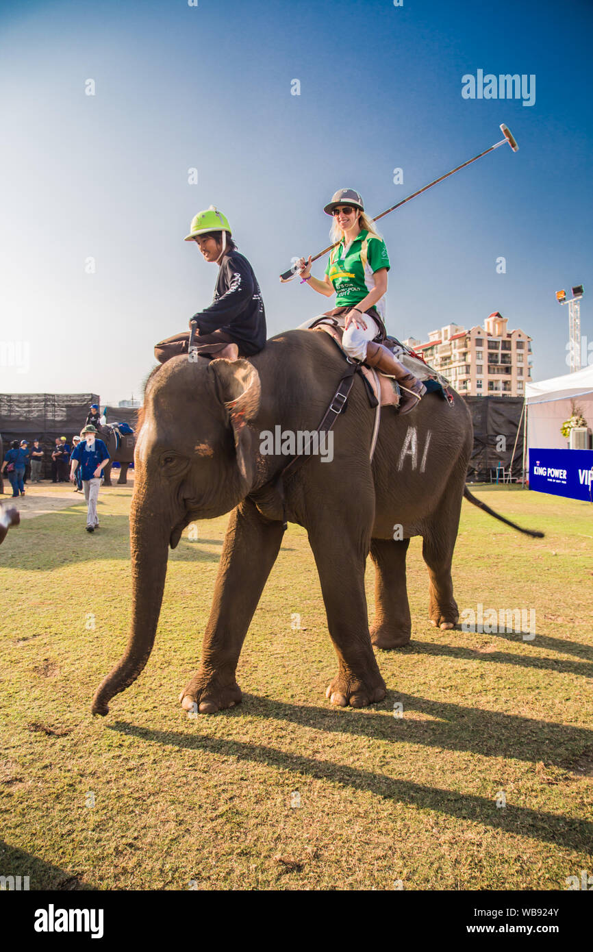 Elephant polo hi-res stock photography and images - Alamy