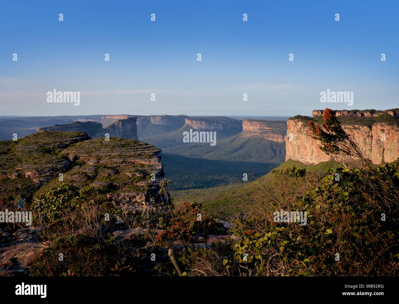 Chapada diamantina brazil hi-res stock photography and images - Alamy
