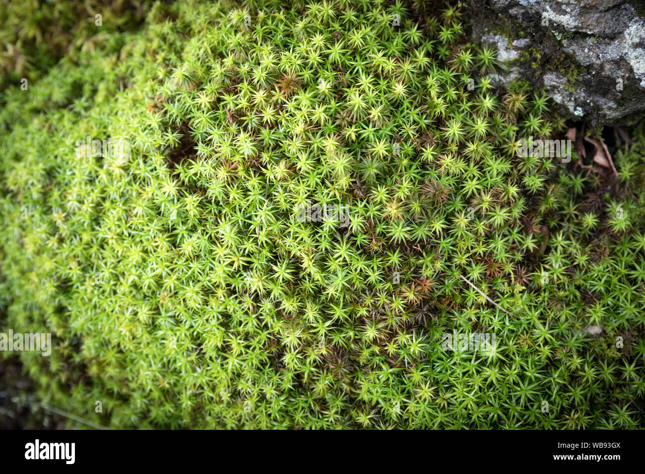 Dove crag lake district hi-res stock photography and images - Alamy