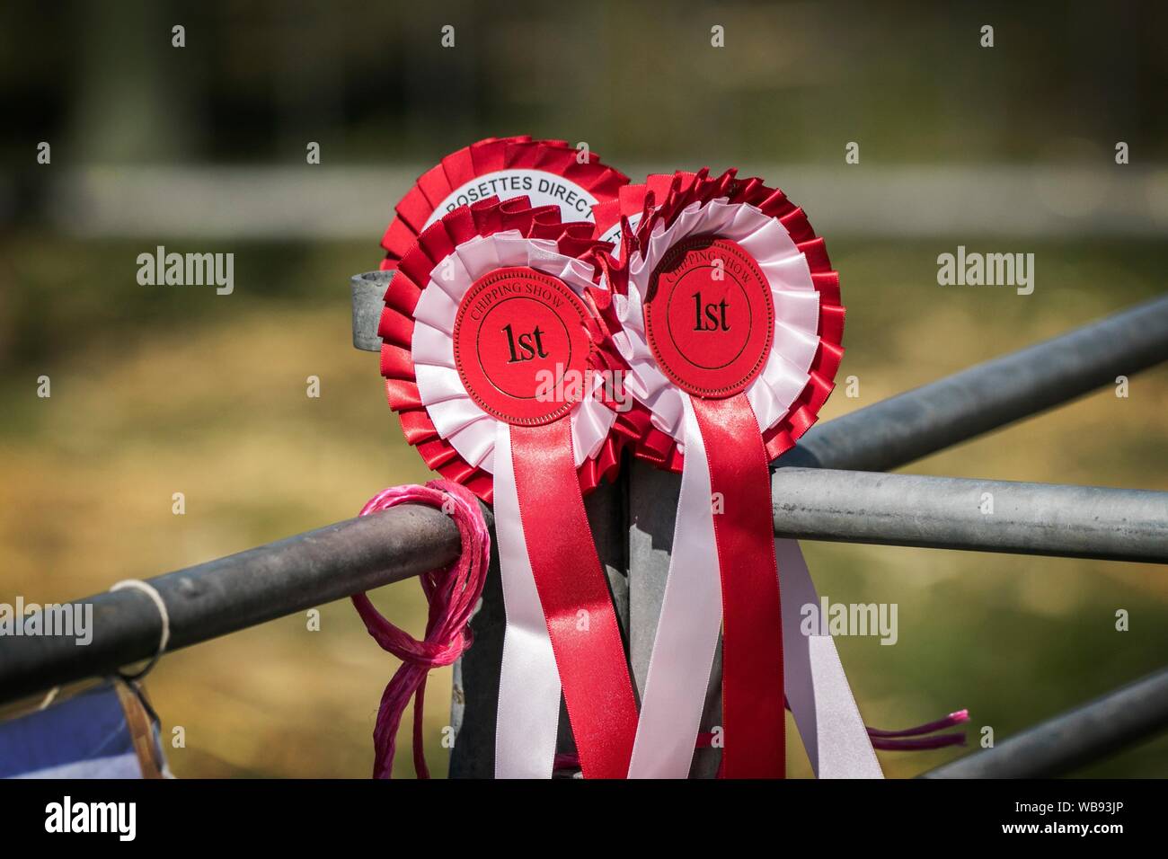 Chipping Agricultural Society 2019 in the Forest of Bowland, UK. Animal ...