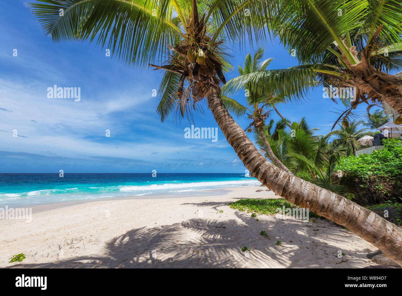 Paradise beach in Caribbean sea Stock Photo - Alamy