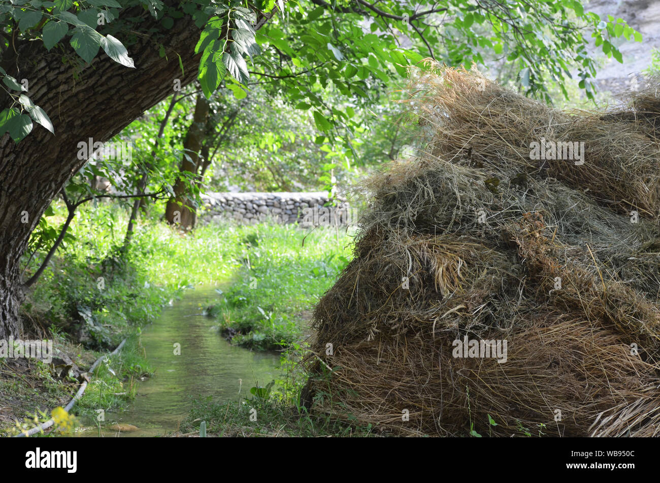 Hay mound hi-res stock photography and images - Alamy