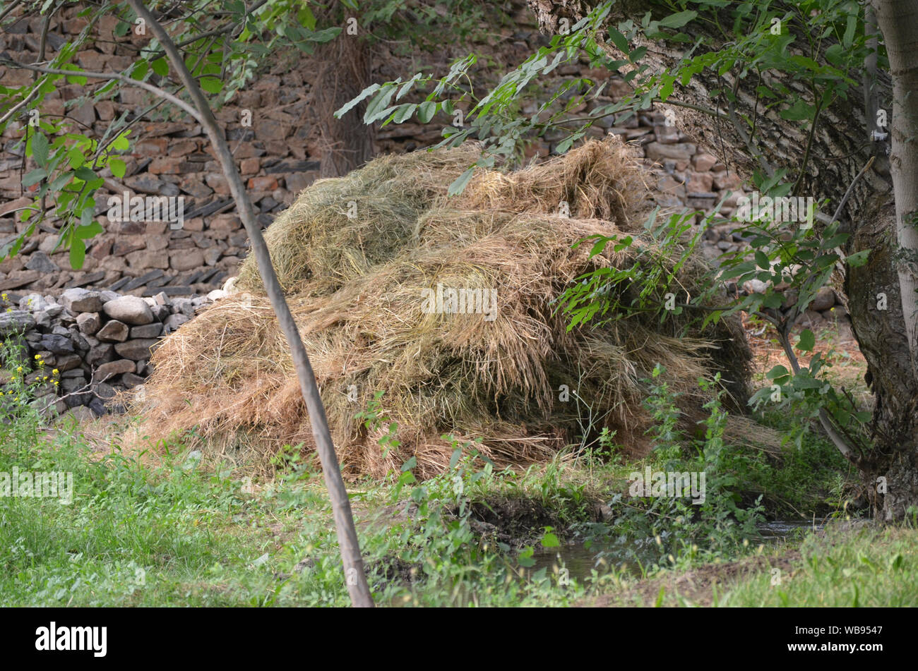 Hay mound hi-res stock photography and images - Alamy