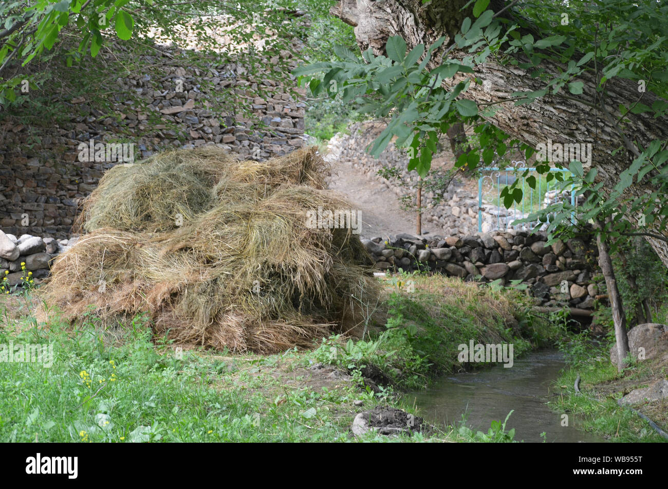 Hay mound in a field in Nuratau mountains, central Uzbekistan Stock ...