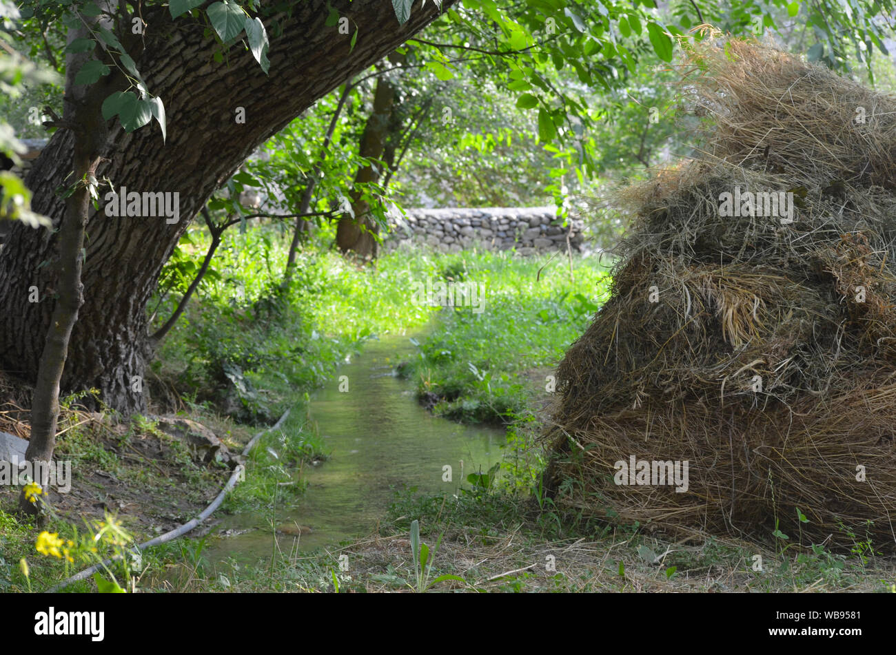 Hay mound in a field in Nuratau mountains, central Uzbekistan Stock ...