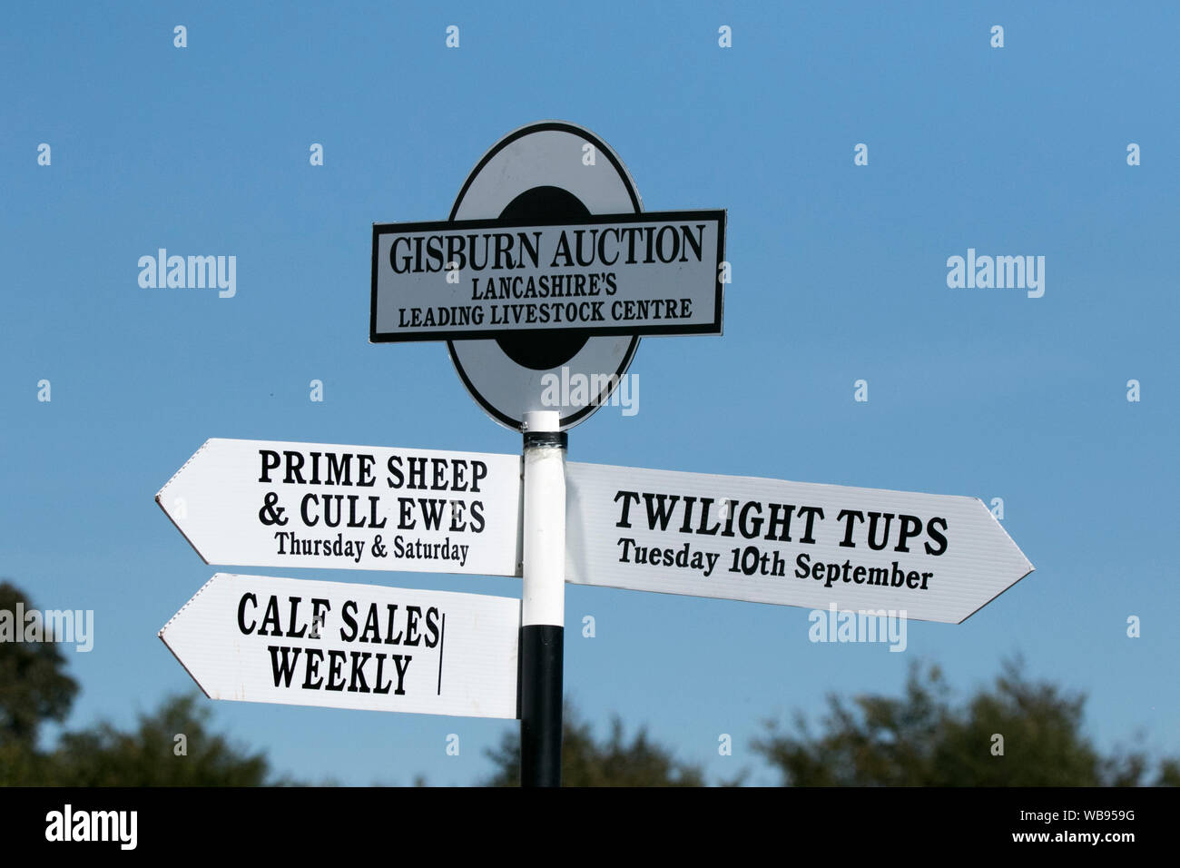 Gisburn auction mart hi-res stock photography and images - Alamy