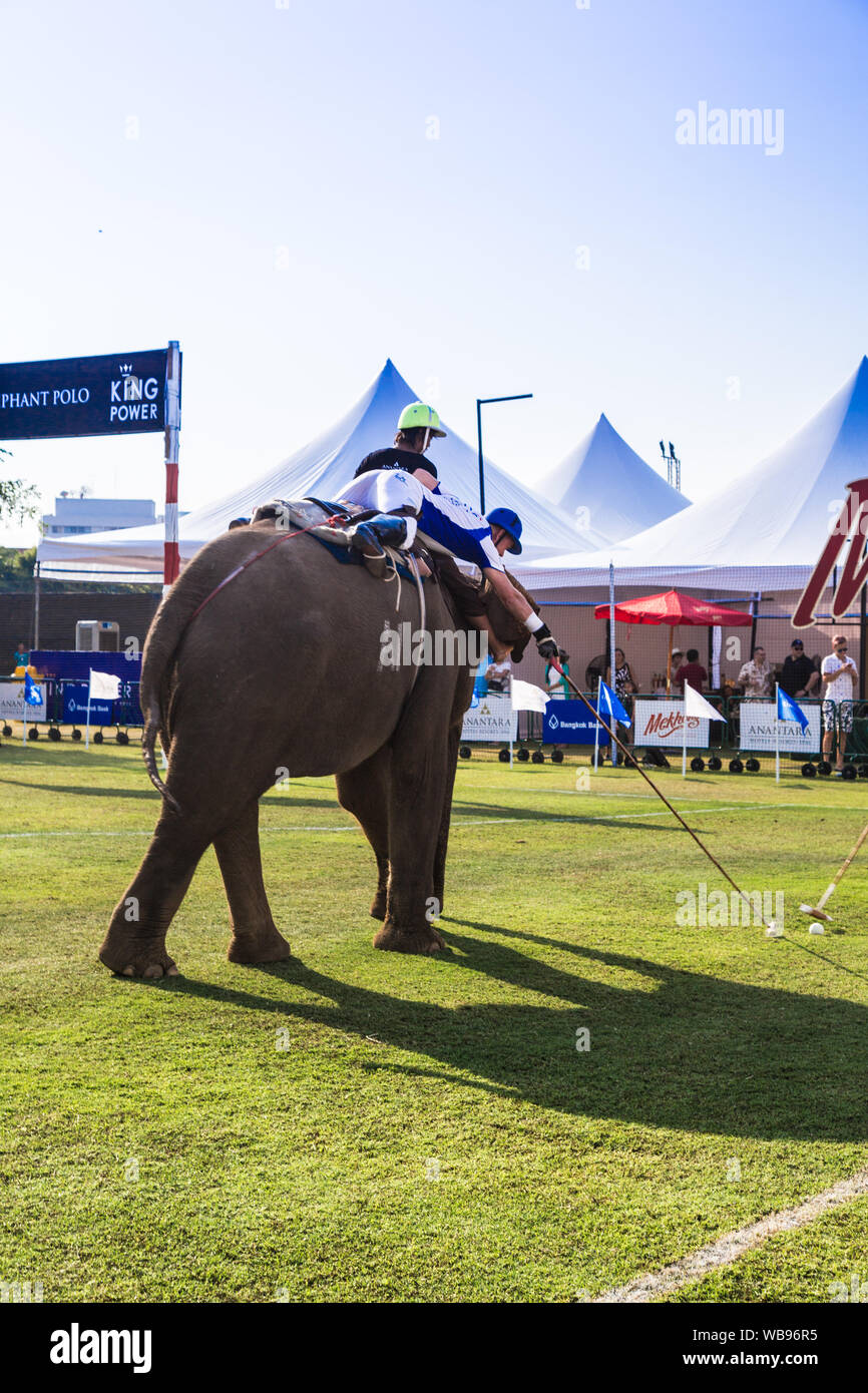 Elephant polo in jaipur hi-res stock photography and images - Alamy