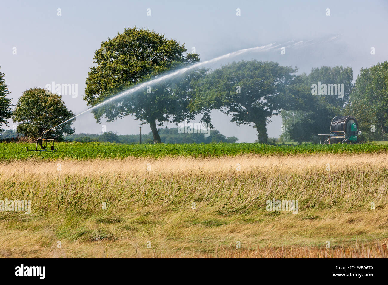 crop irrigation system on farmland summer uk Stock Photo - Alamy