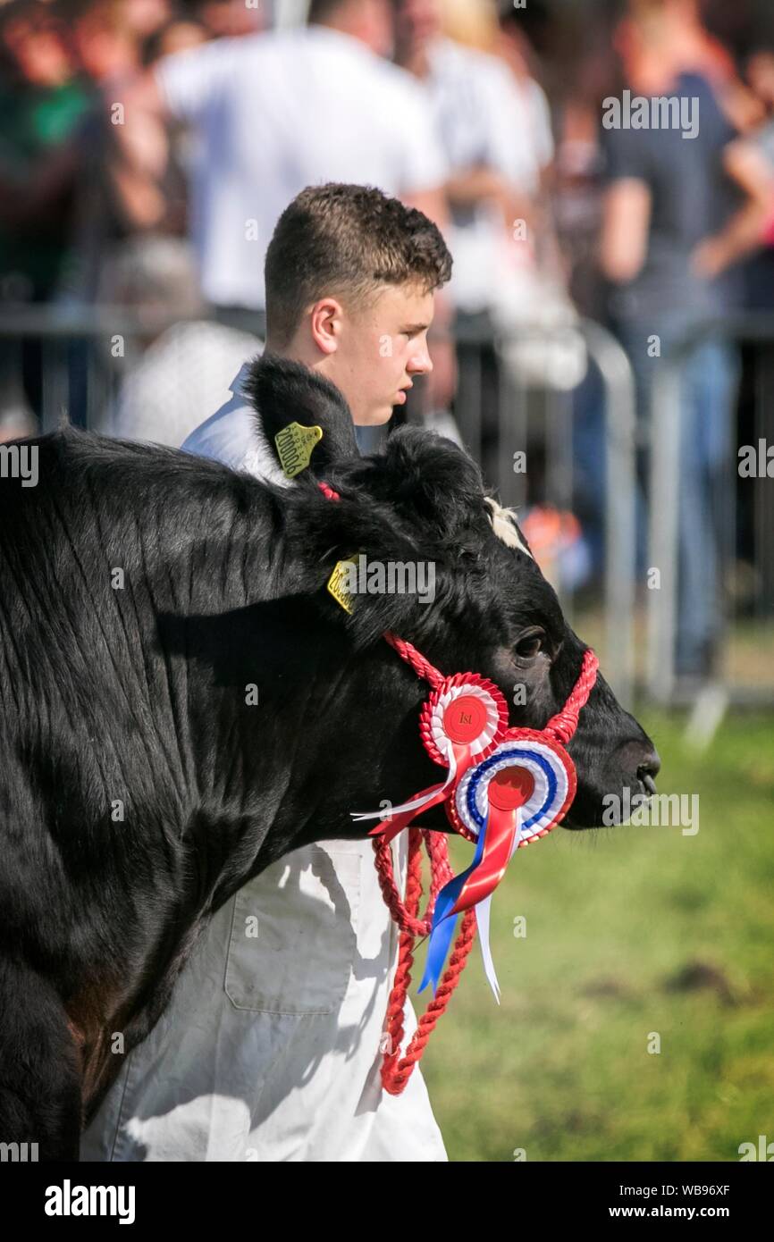 Chipping Agricultural Society 2019 in the Forest of Bowland, UK. Animal ...