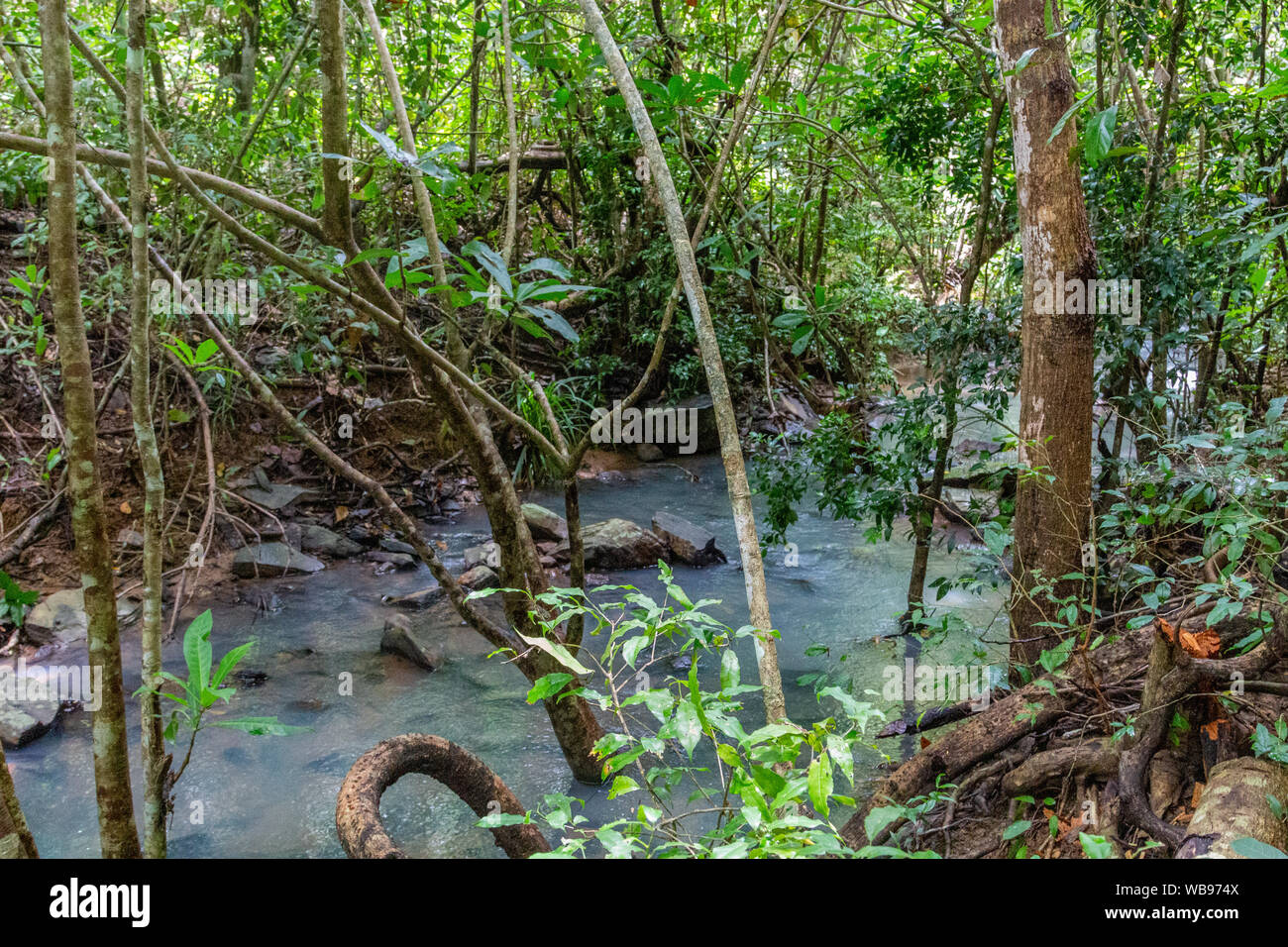 Lokobe national park madagascar hi-res stock photography and images - Alamy