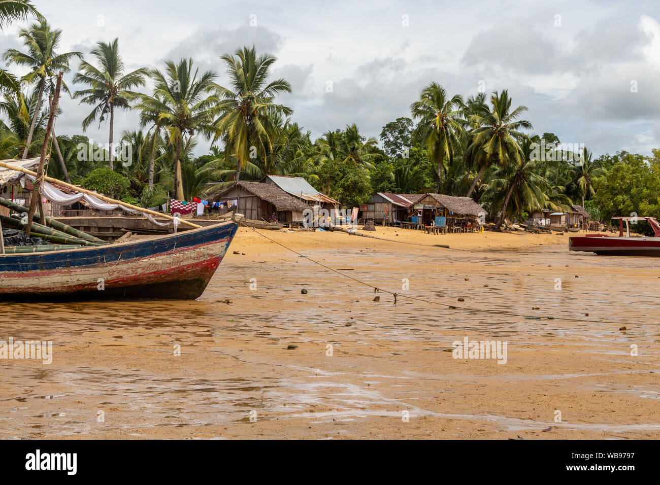Beach with old boats at ebb, palm trees in background at Lokobe nature ...