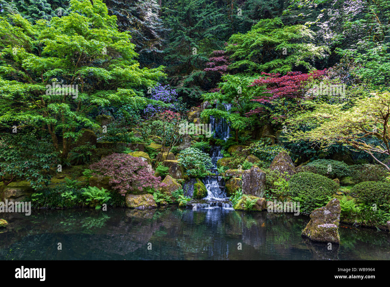 Waterfall japanese garden foliage hi-res stock photography and images ...