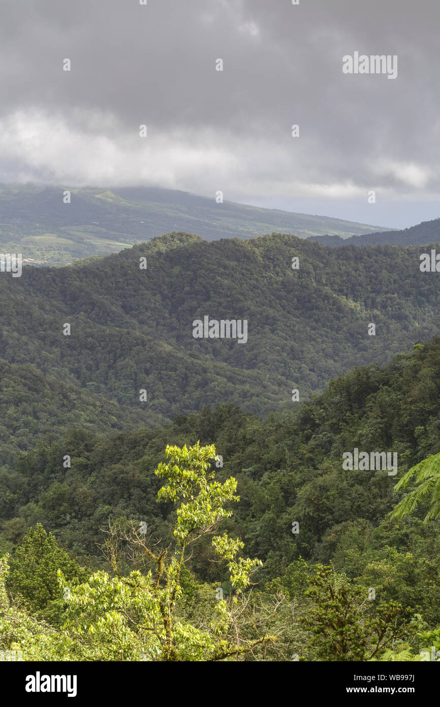 The tropical island of Martinique Stock Photo - Alamy