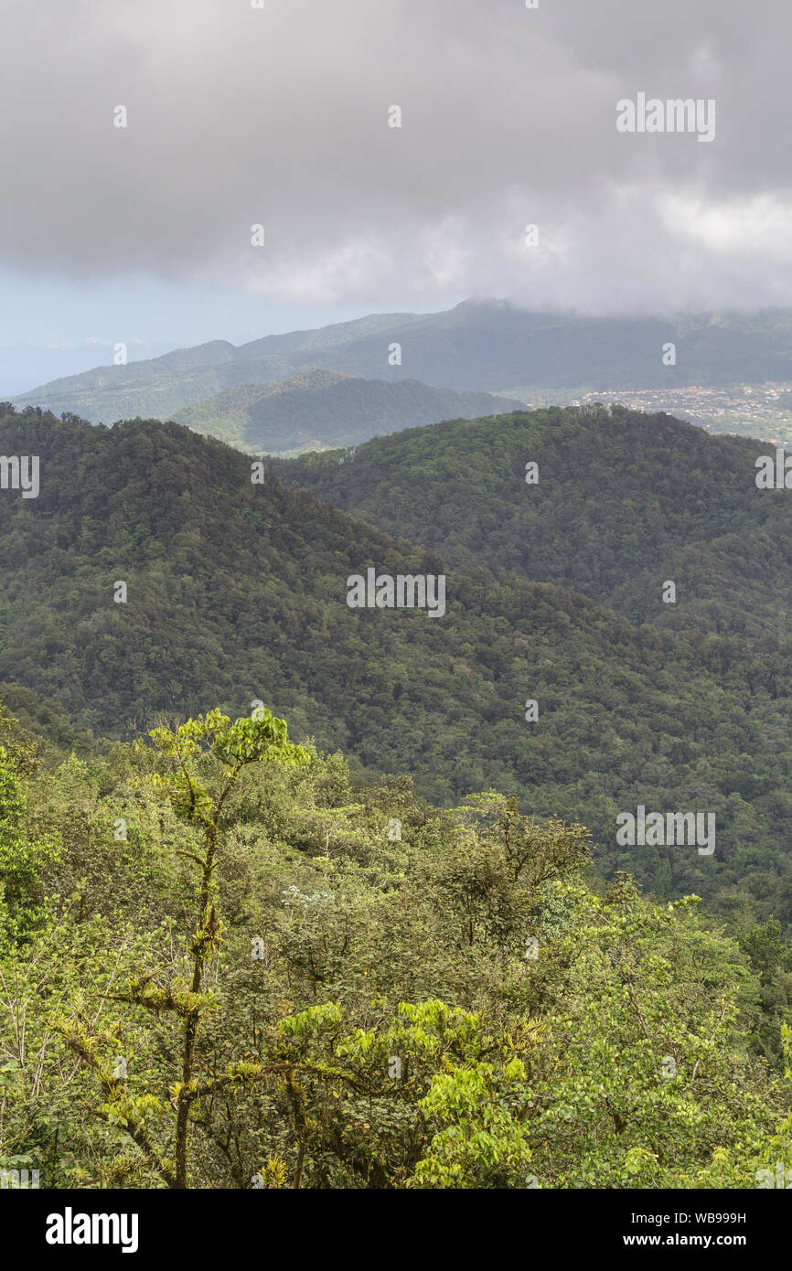 The tropical island of Martinique Stock Photo - Alamy