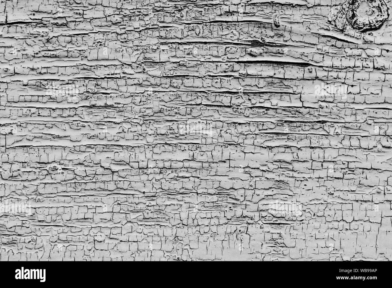 Texture of peeling paint. Abstract background for design. Black and ...