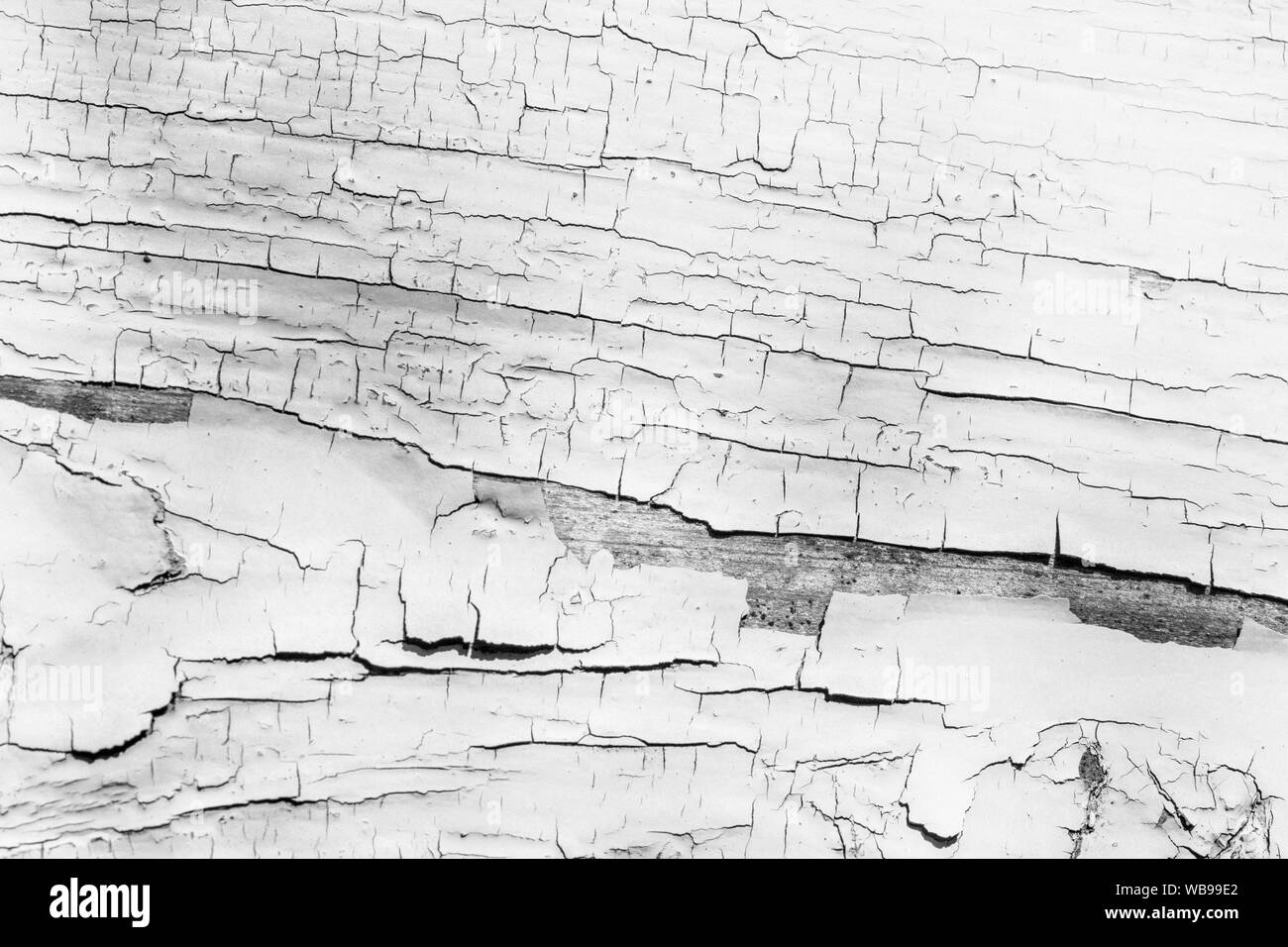 Texture of peeling paint. Abstract background for design. Black and white Stock Photo - Alamy