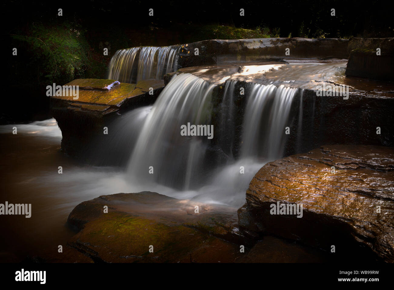 Brecon forest hi-res stock photography and images - Alamy