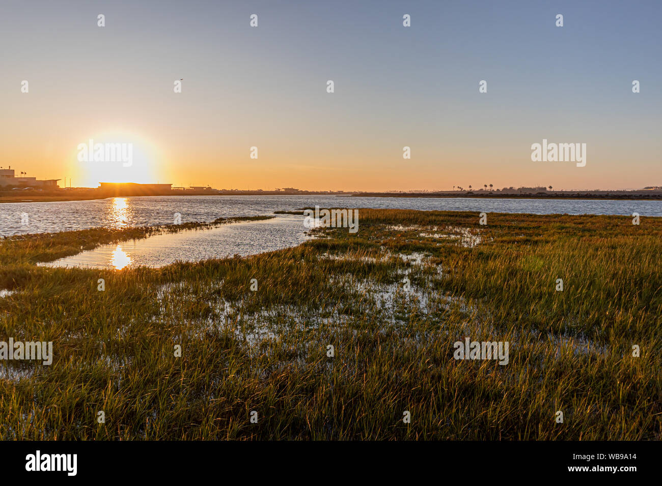 Beauty of wetlands hi-res stock photography and images - Alamy
