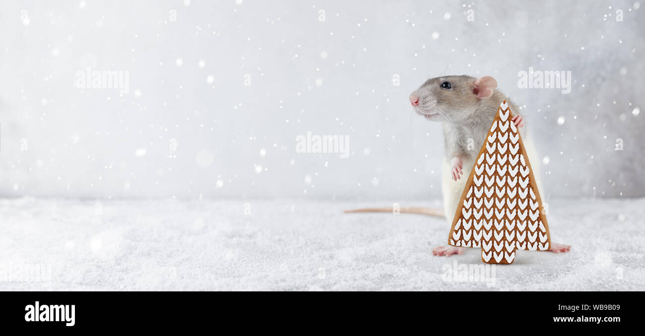 Rat christmas hi-res stock photography and images - Alamy