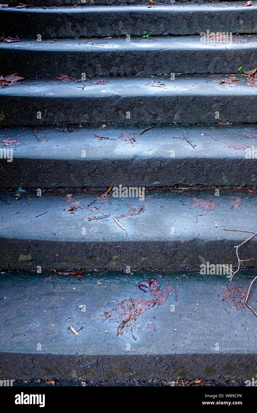 Wet concrete hi-res stock photography and images - Alamy