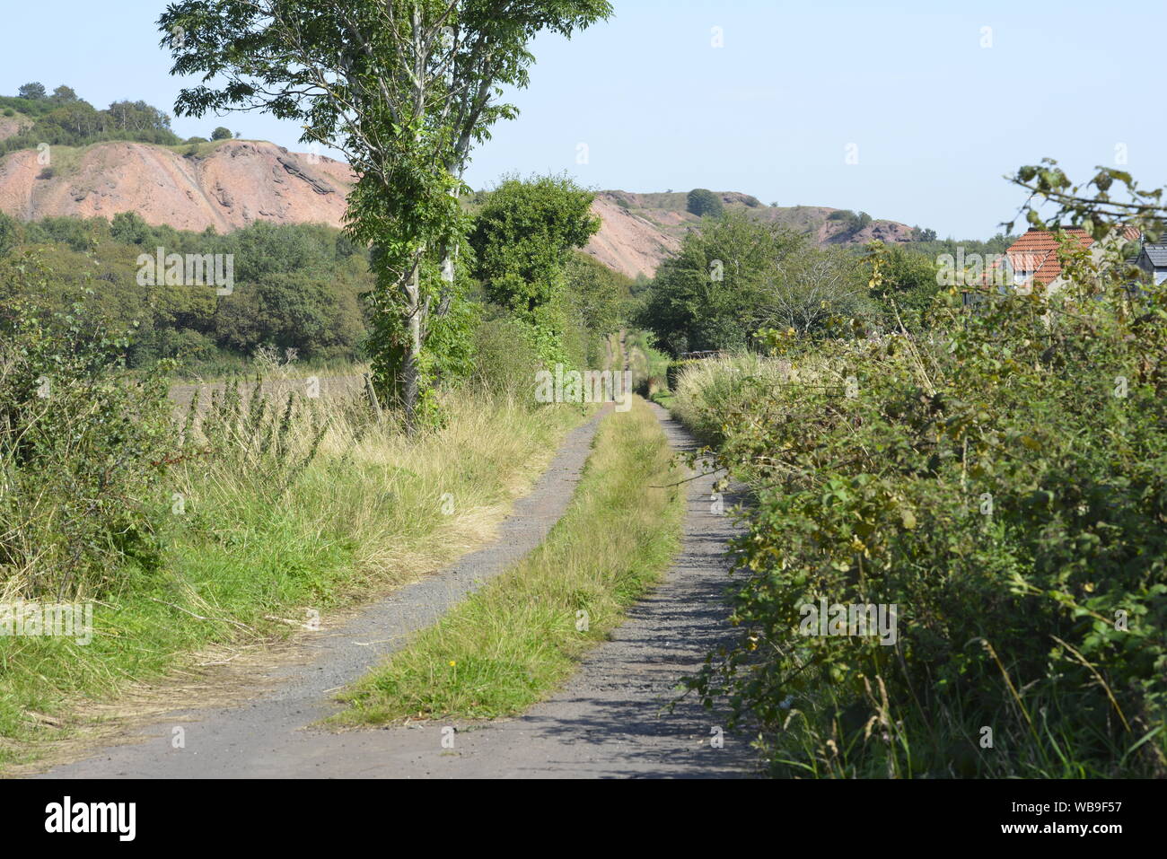 Bings hi-res stock photography and images - Alamy