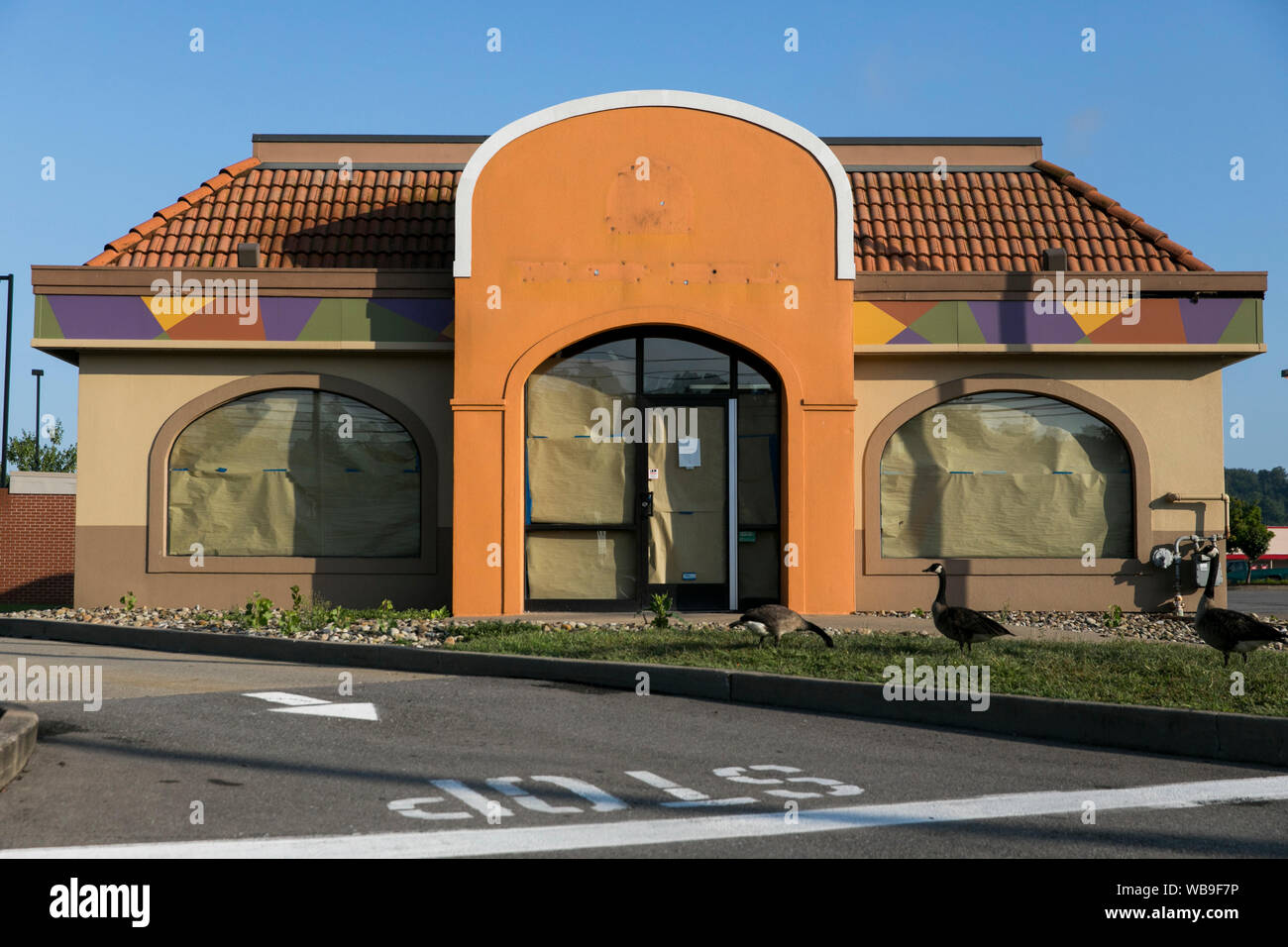 Taco bell logo sign hi-res stock photography and images - Alamy