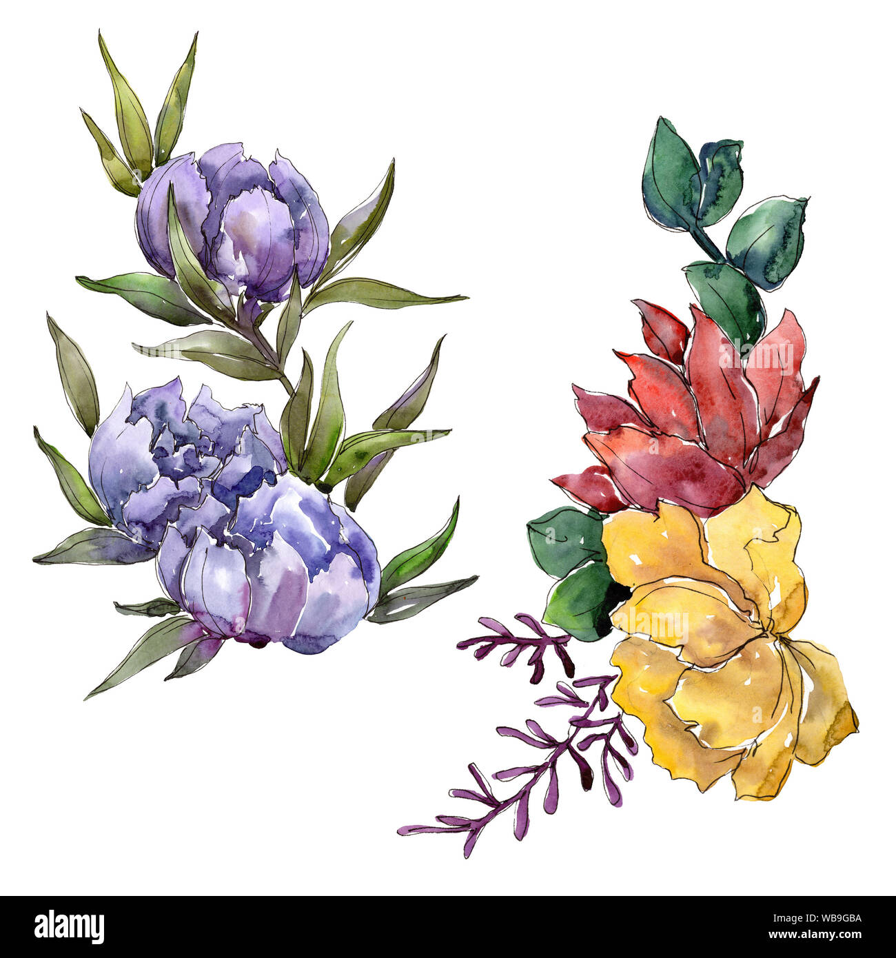 Bouquet floral botanical flowers. Watercolor background illustration ...