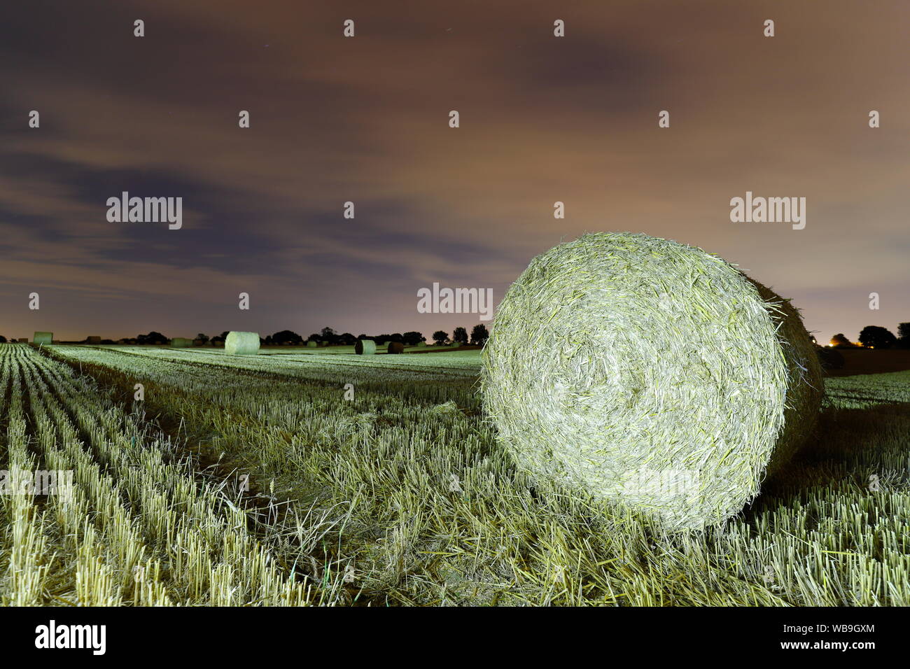 Hay harves hi-res stock photography and images - Alamy