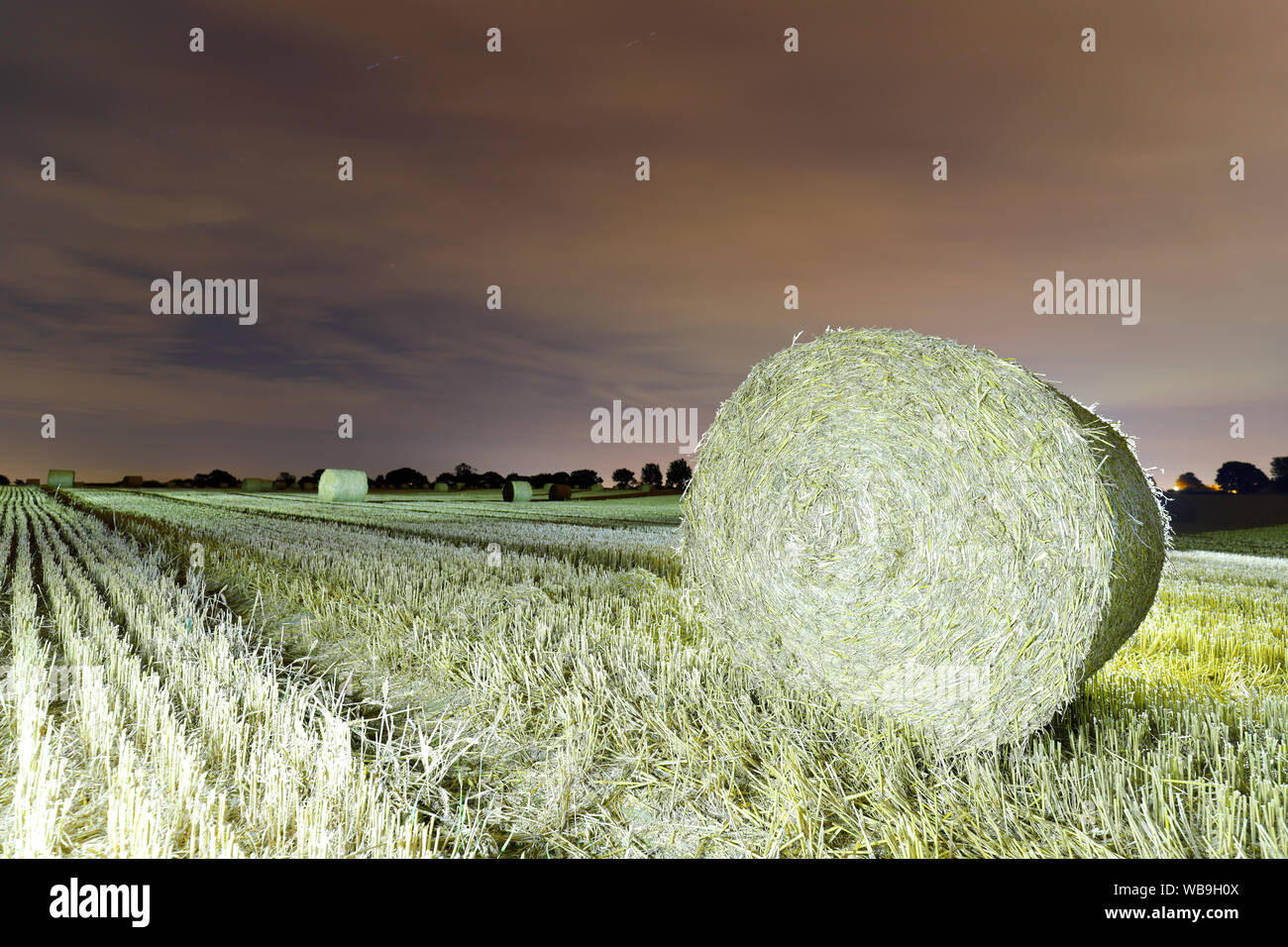 Hay harves hi-res stock photography and images - Alamy
