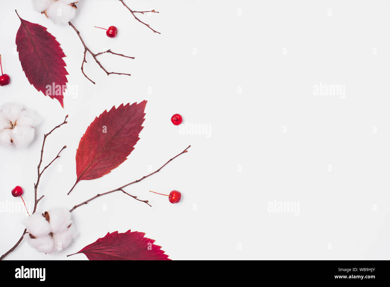 Winter concept cotton plant hi-res stock photography and images - Alamy