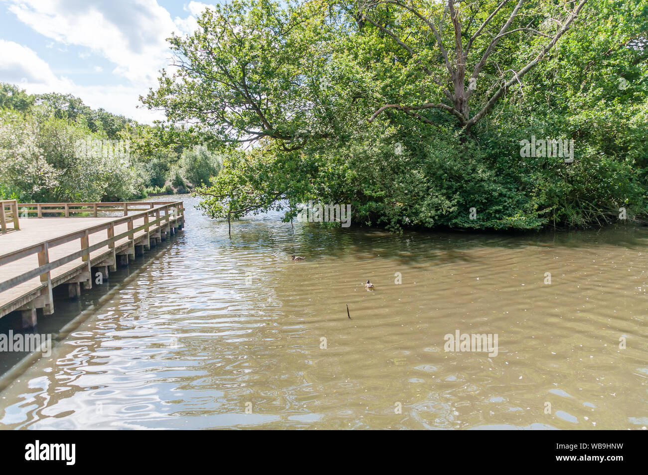 London paddling pool hi-res stock photography and images - Alamy