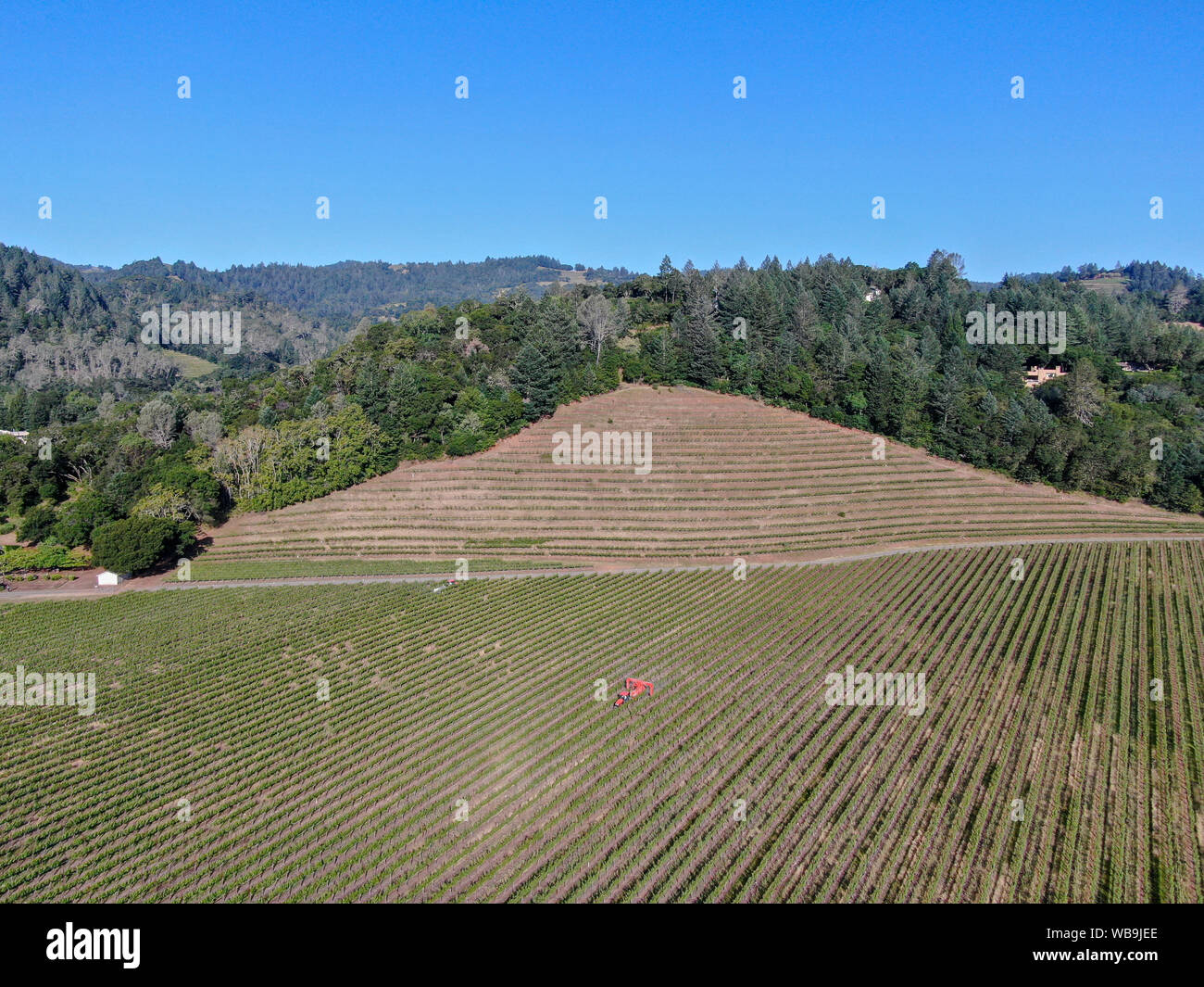 Aerial view of vineyard in Napa Valley. Napa County, in California's ...