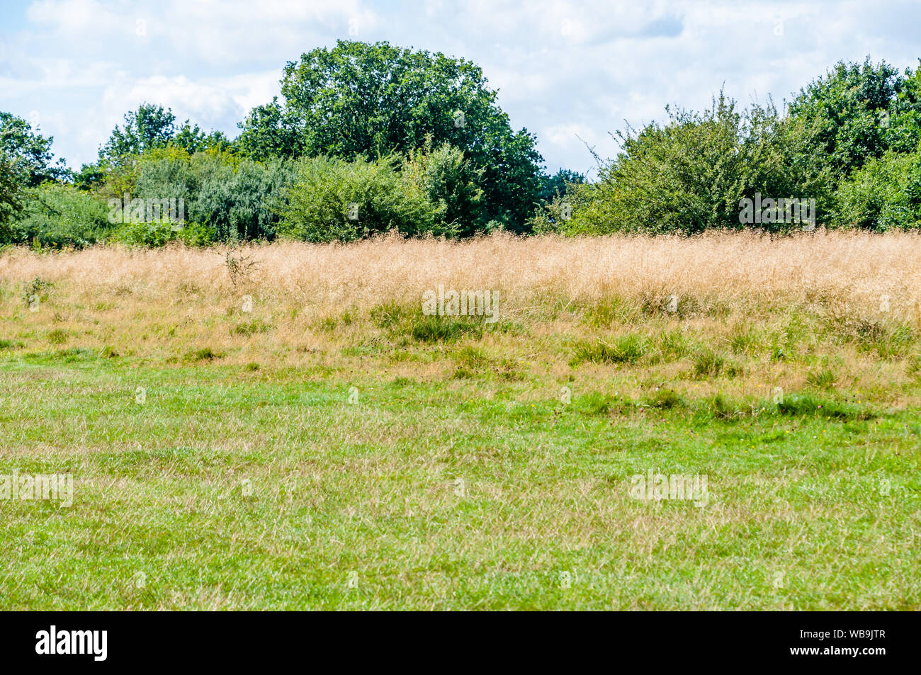 Epping forest keepers hi-res stock photography and images - Alamy
