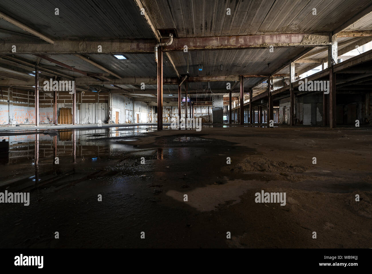 Decay blight abandoned plant hi-res stock photography and images - Alamy