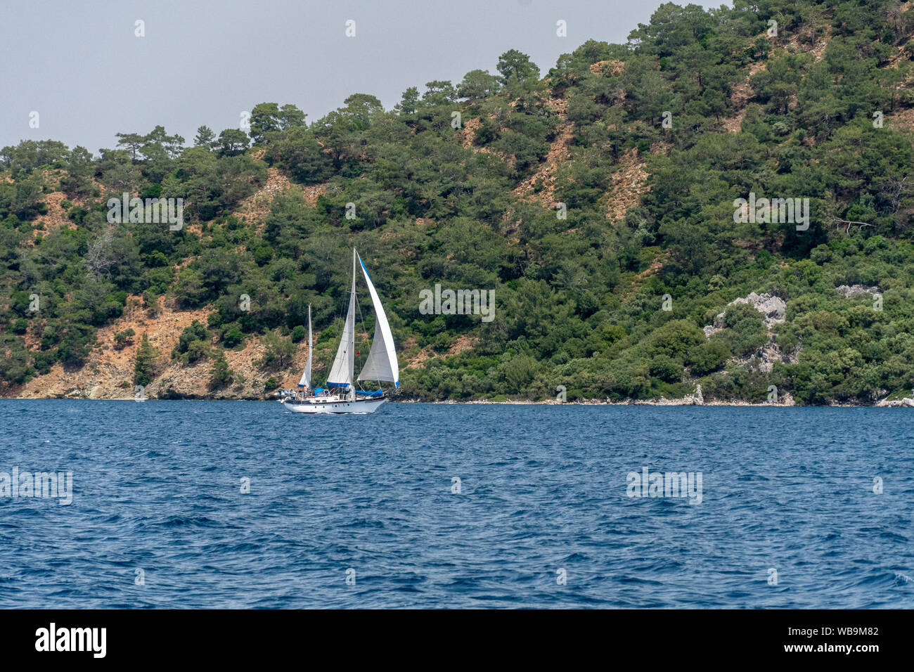 Sailboat on Blue Ocean with Trees in Turkey Stock Photo - Alamy