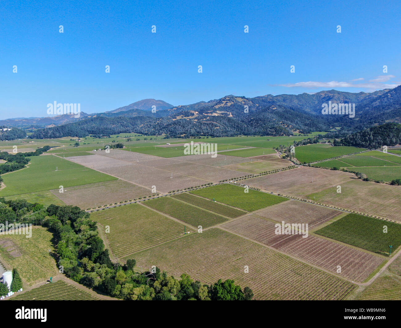 Aerial view of vineyard in Napa Valley. Napa County, in California's ...
