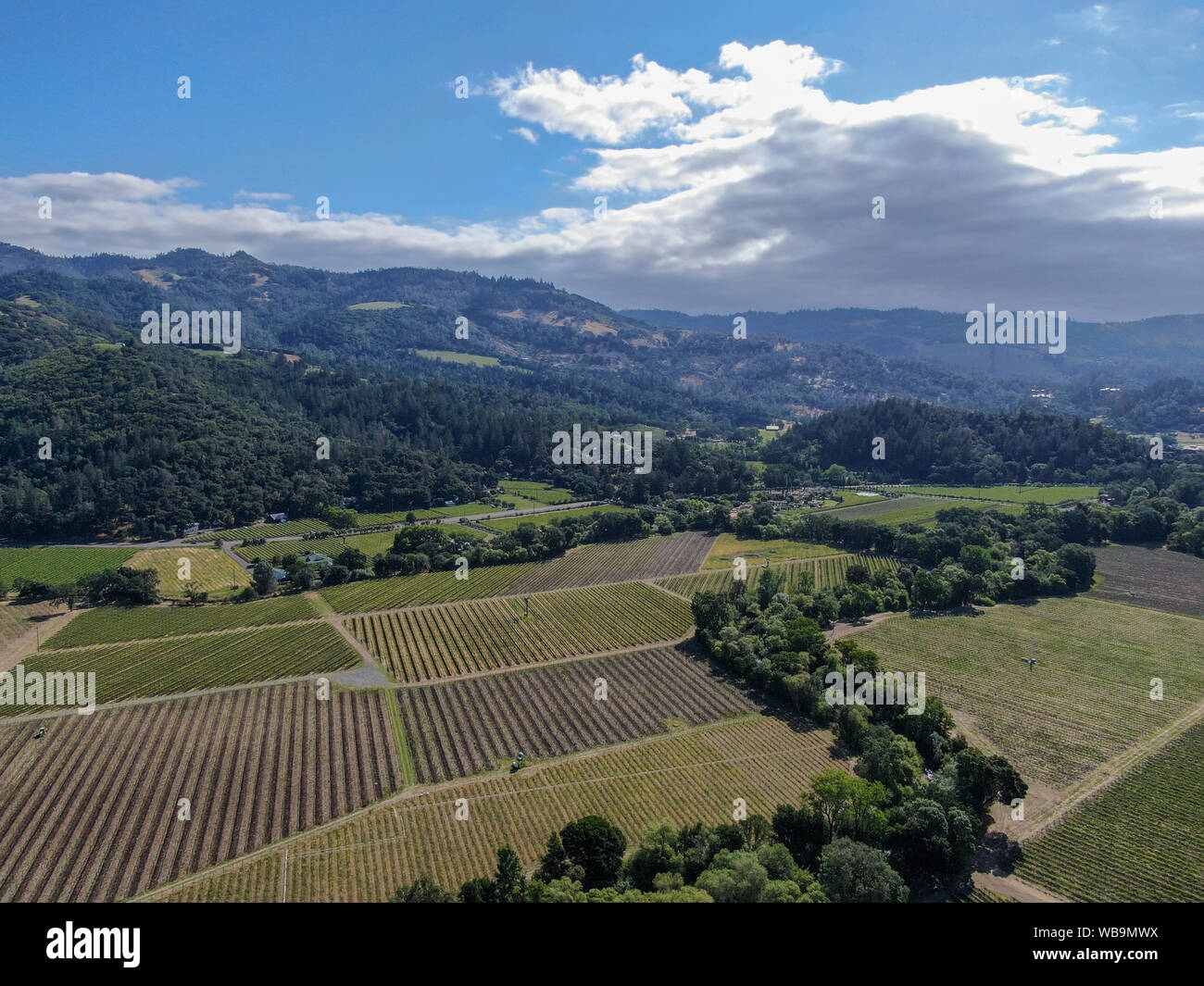Aerial view of vineyard in Napa Valley. Napa County, in California's ...