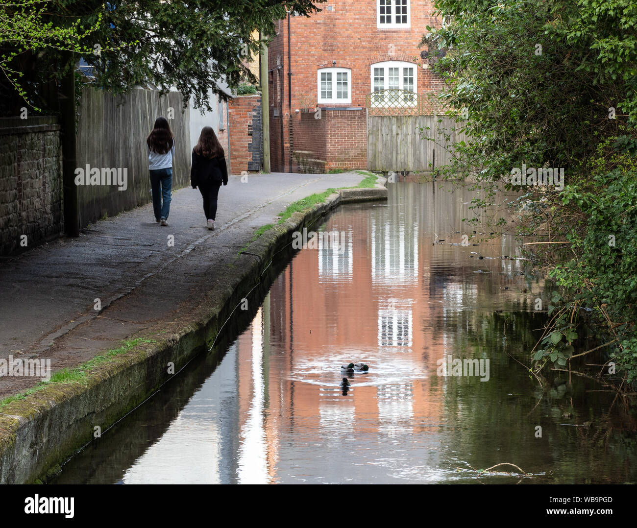 The Mill Stream, Wantage, Oxfordshire Stock Photo - Alamy