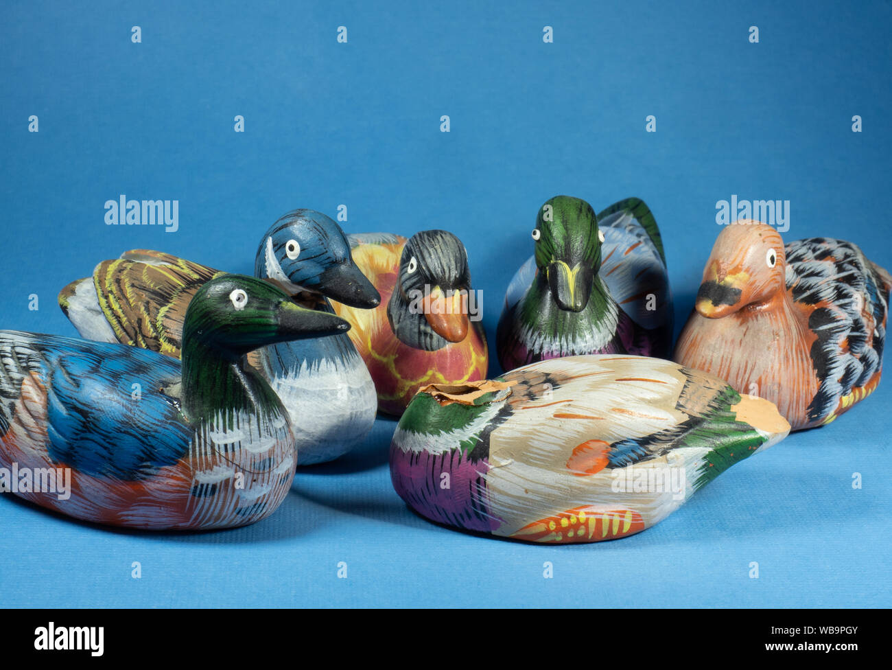 Headless ducks hi-res stock photography and images - Alamy