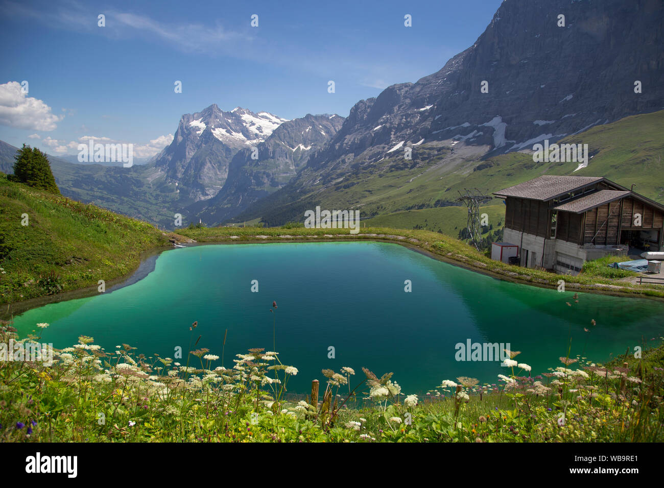 Small alpine lake with calm turquoise color water among hills and ...