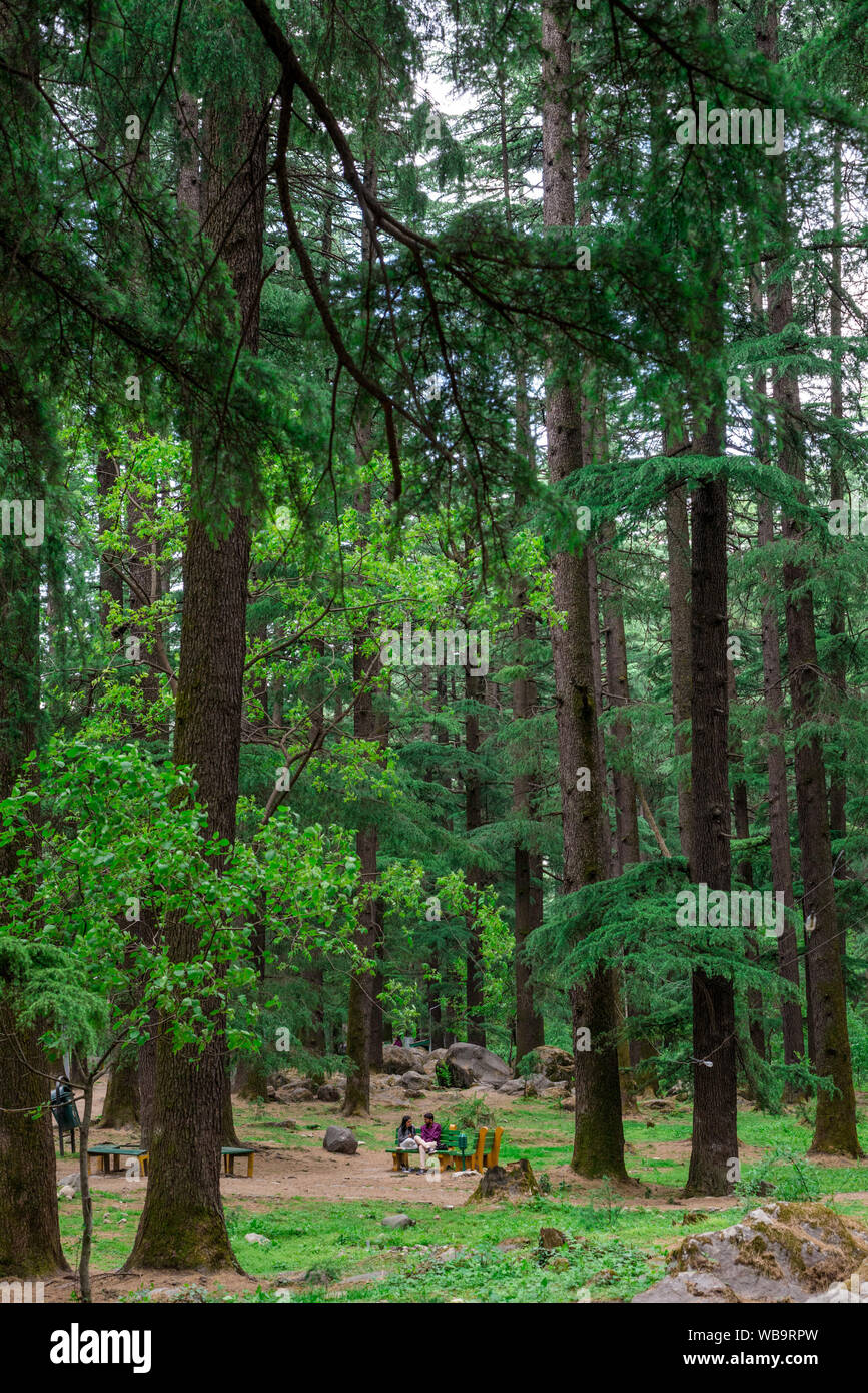 Van Vihar Manali High Resolution Stock Photography and Images - Alamy