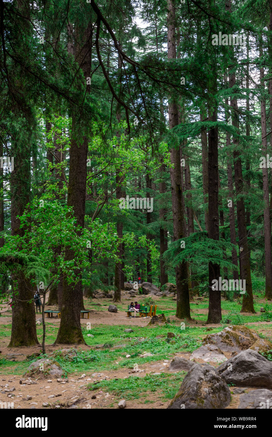 Van vihar manali hi-res stock photography and images - Alamy