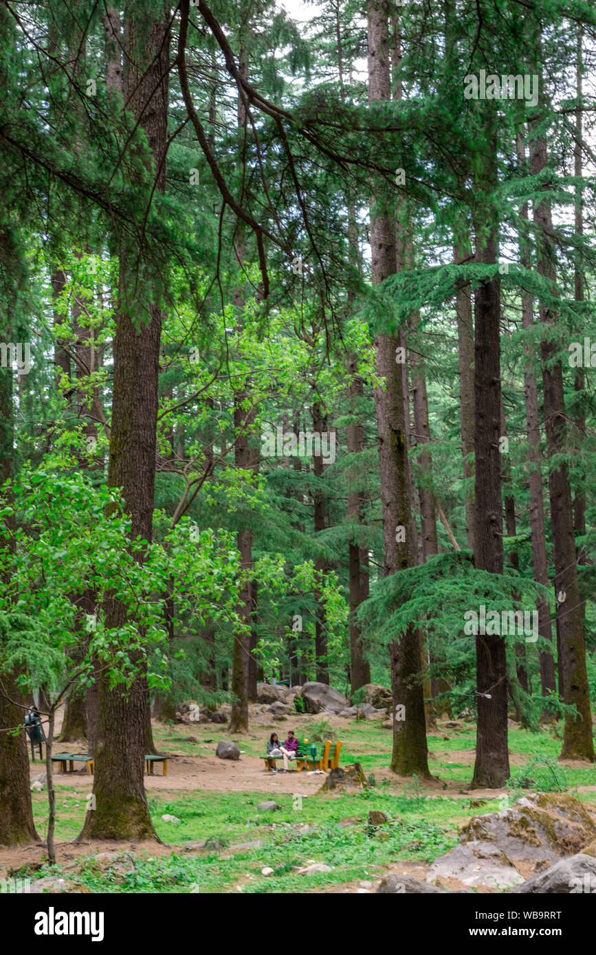 Manali, Himachal Pradesh, India - May 07, 2019 : Photo of Tourist ...