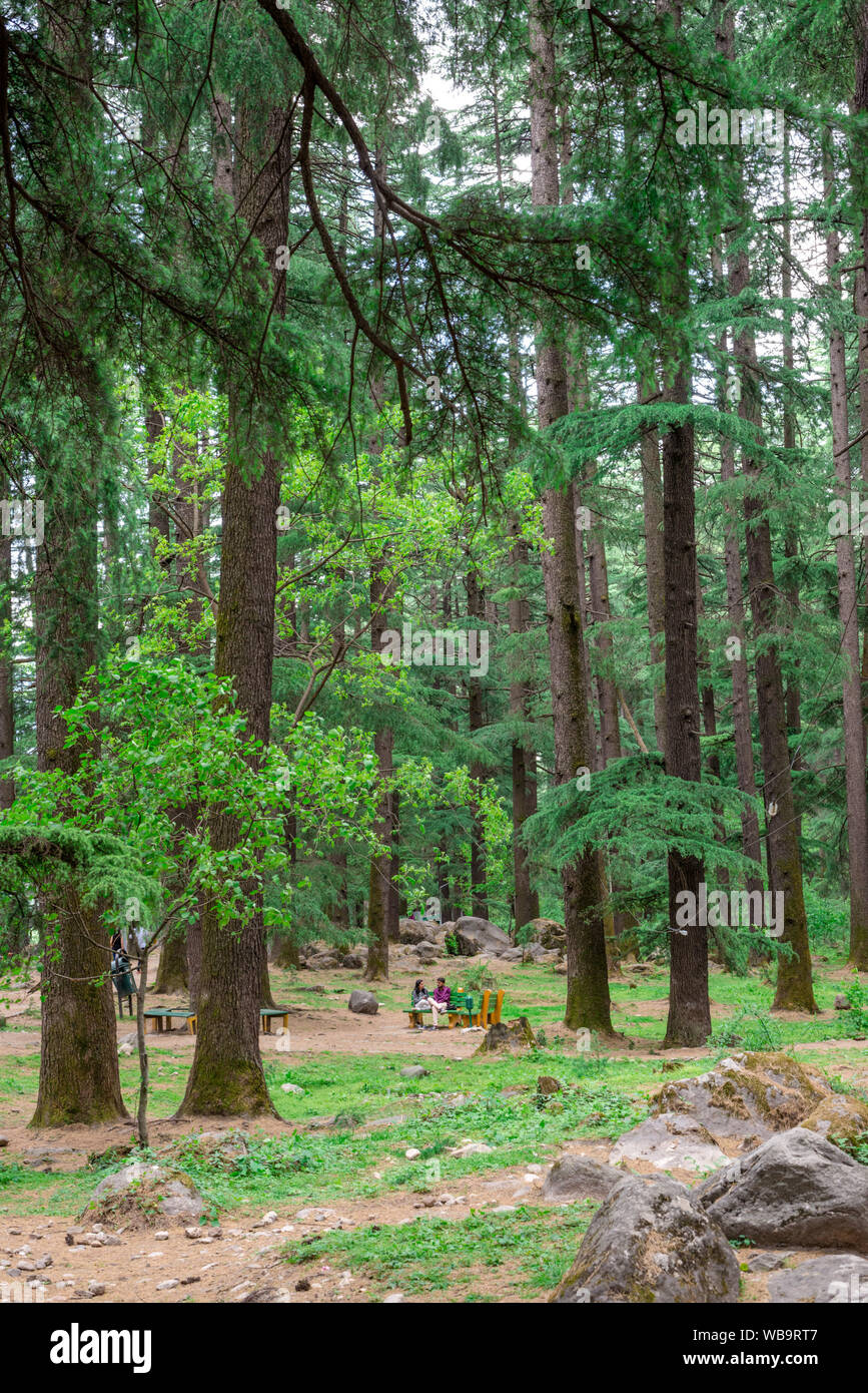 Van Vihar Manali High Resolution Stock Photography and Images - Alamy