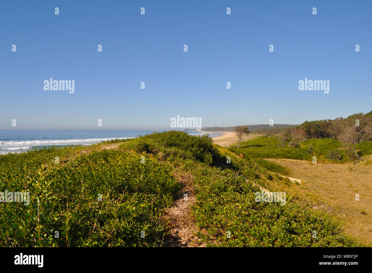 Coastal view with dunes and vegetation behind South Valla Beach with ...