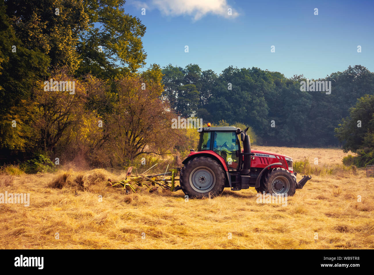 English tractor raking grass in field hi-res stock photography and ...