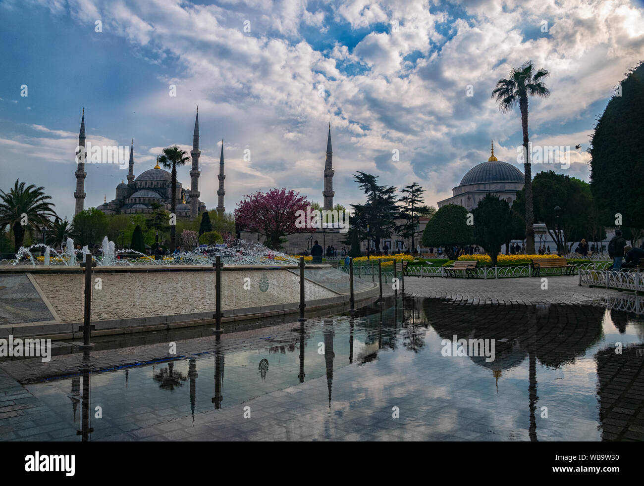 Blue Mosque in Istanbul at morning with its rain water reflection Stock ...